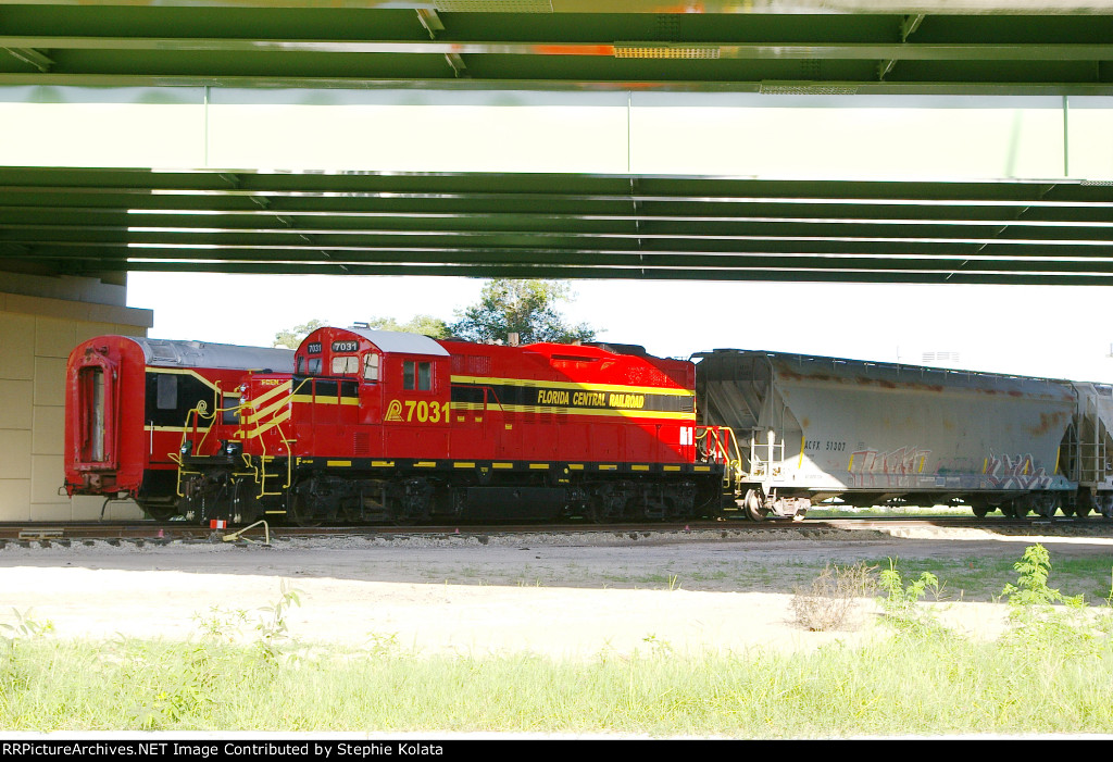 FCEN 7031 UNDER THE BRIDGE